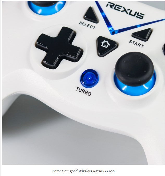 Mode Gamepad X-input dan D-input. Apa Sih Bedanya? – Rexus