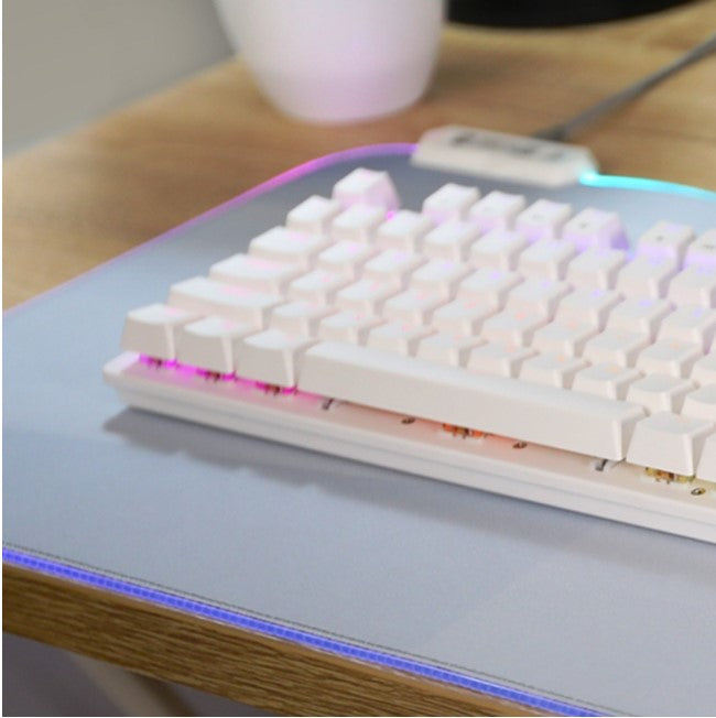 Wajib Tahu Beda Keyboard Hot Swappable dan Removable Switch – Rexus