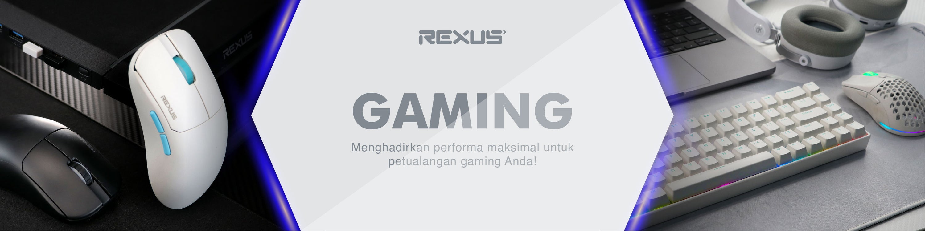 All Product – Rexus