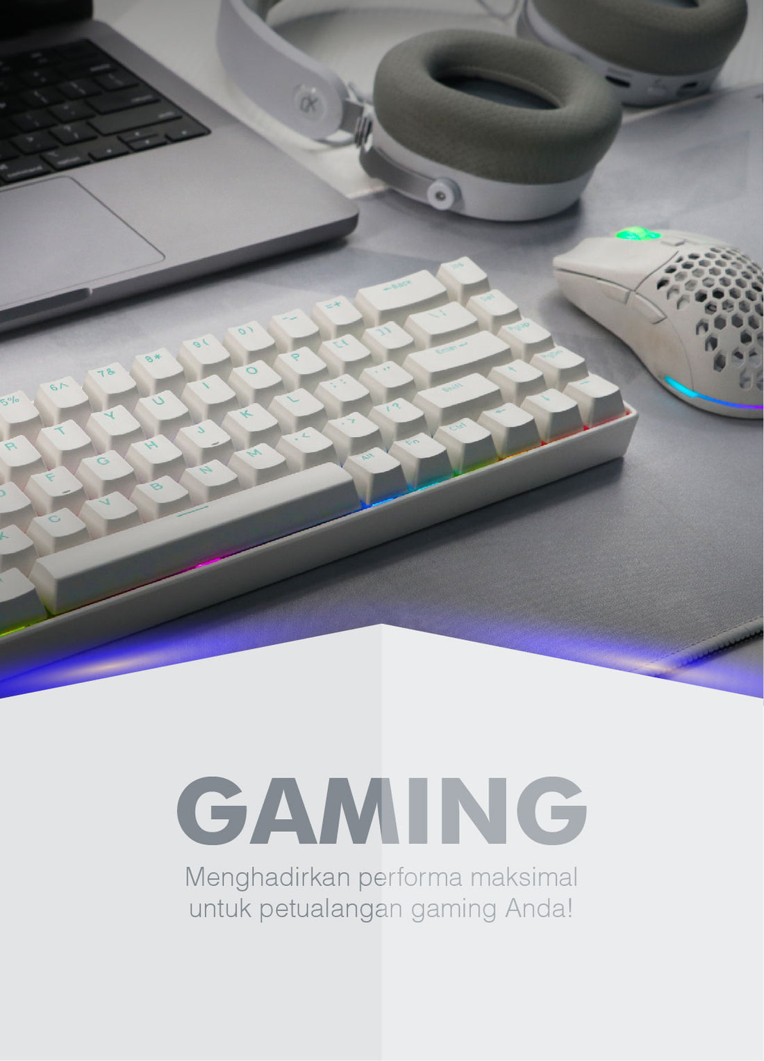 All Product – Rexus