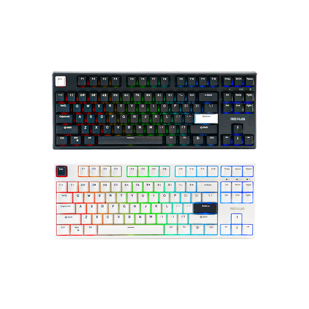 Rexus Keyboard Mechanical Daiva D87