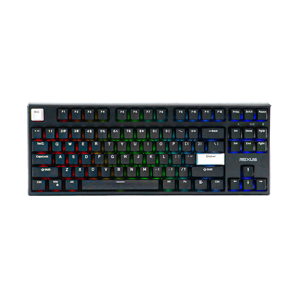 Rexus Keyboard Mechanical Daiva D87