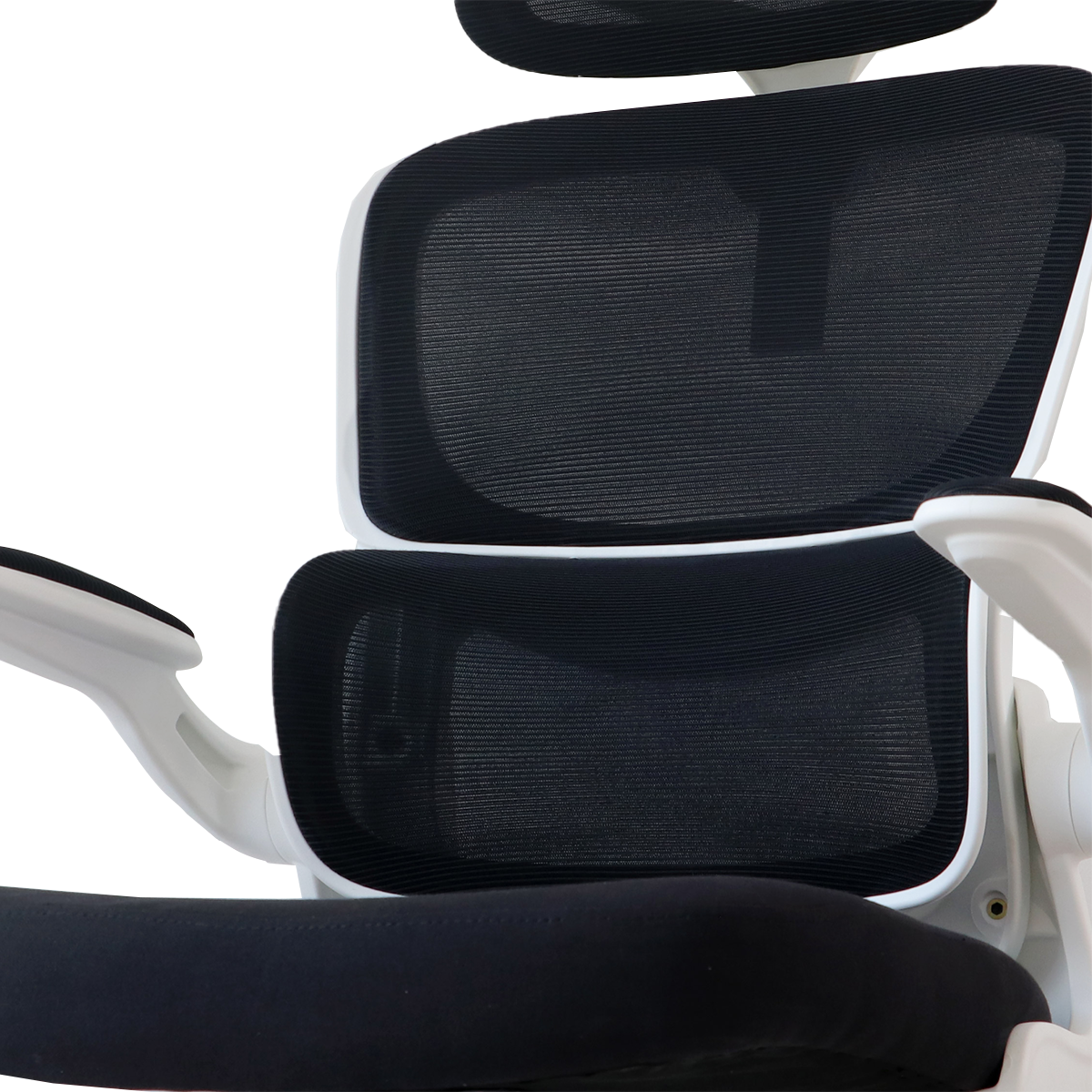 Rexus Ergonomic Office Chair Kursi Kantor NC2